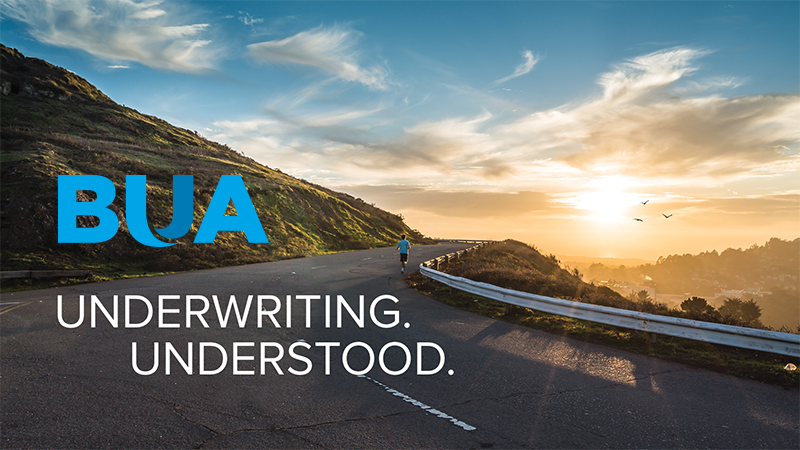 Online Life Quotes : BUA - Business Underwriters Associates